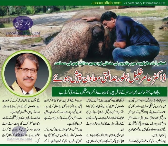 Dr Amir Khalil of Four Paws | A Veterinary Information Hub