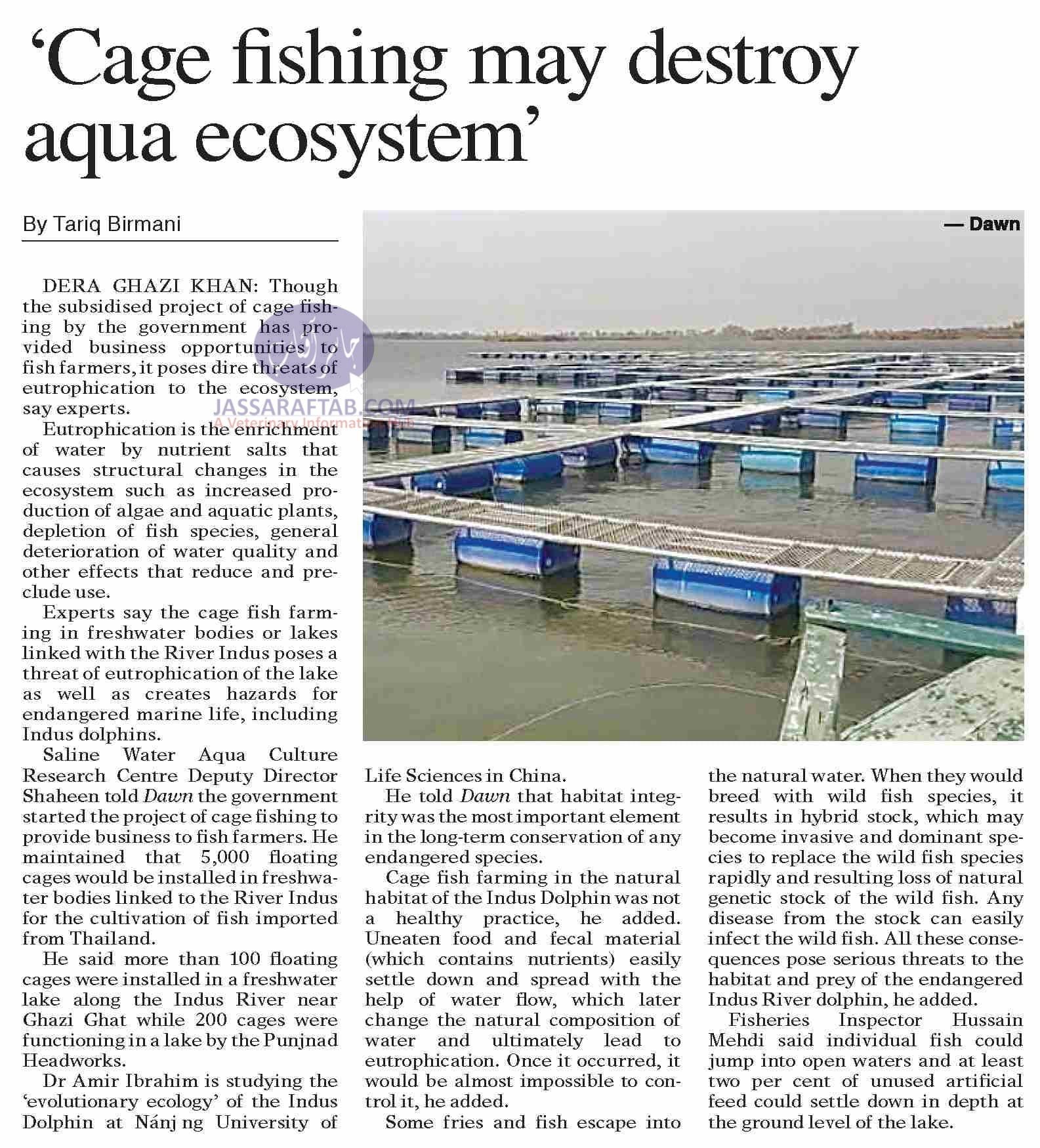 Cage fishing may destroy aqua ecosystem| Report