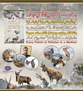 Markhor in Pakistan | Markhor Facts | All about Markhor