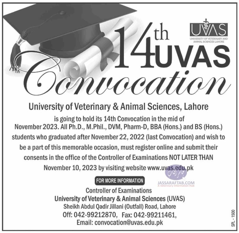 UVAS 14th Convocation for DVM,Pharm-D,BS(Hons.)BBA students