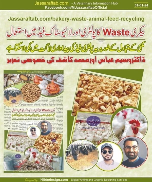 Bakery Waste Animal Feed | Bakery Waste for Cattle & Poultry