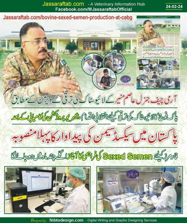 Bovine Sexed Semen Production In Pakistan | CEBG | RVFC