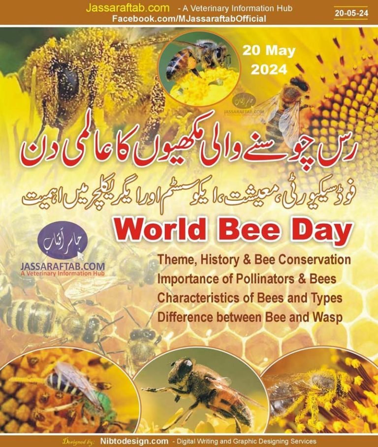World Bee Day | Theme | History | Importance of Pollinators
