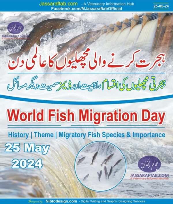 World Fish Migration Day | Migratory Species | Importance