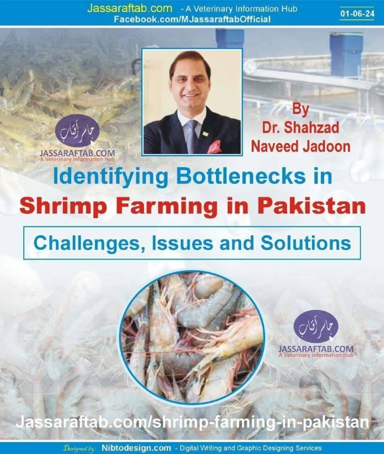 Shrimp farming in Pakistan | Challenges | Issues | Solutions