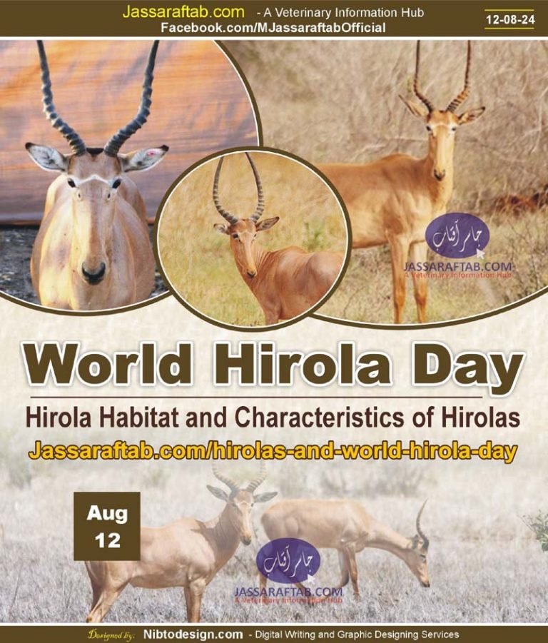 Hirolas and World Hirola Day | Characteristics and Habitat