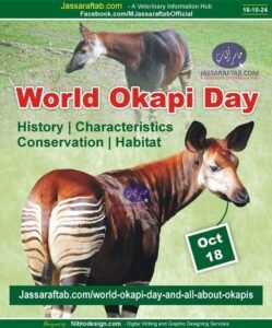 World Okapi Day | History | All about Okapis