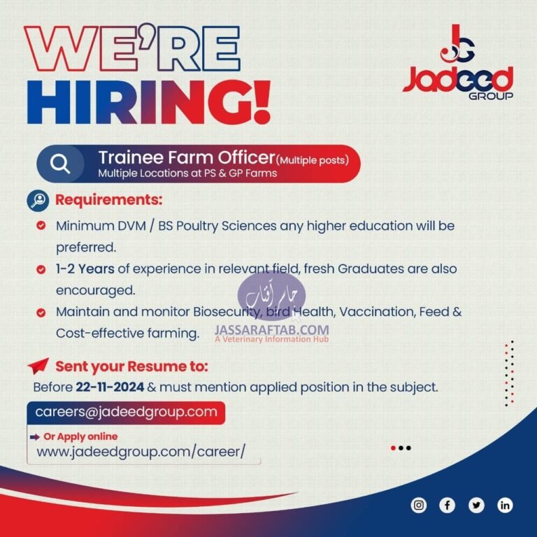 Poultry Farm Jobs | Jadeed Poultry Jobs | Jadeed Feeds Jobs