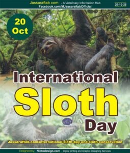 International Sloth Day | Sloths Conservation | Sloth Bears