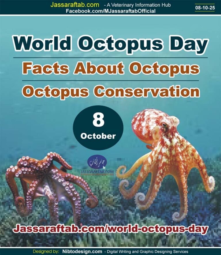 World Octopus Day | Octopus Habitats | Octopuses Facts