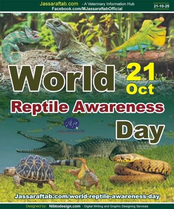 World Reptile Awareness Day | What are Reptiles? | Wildlife