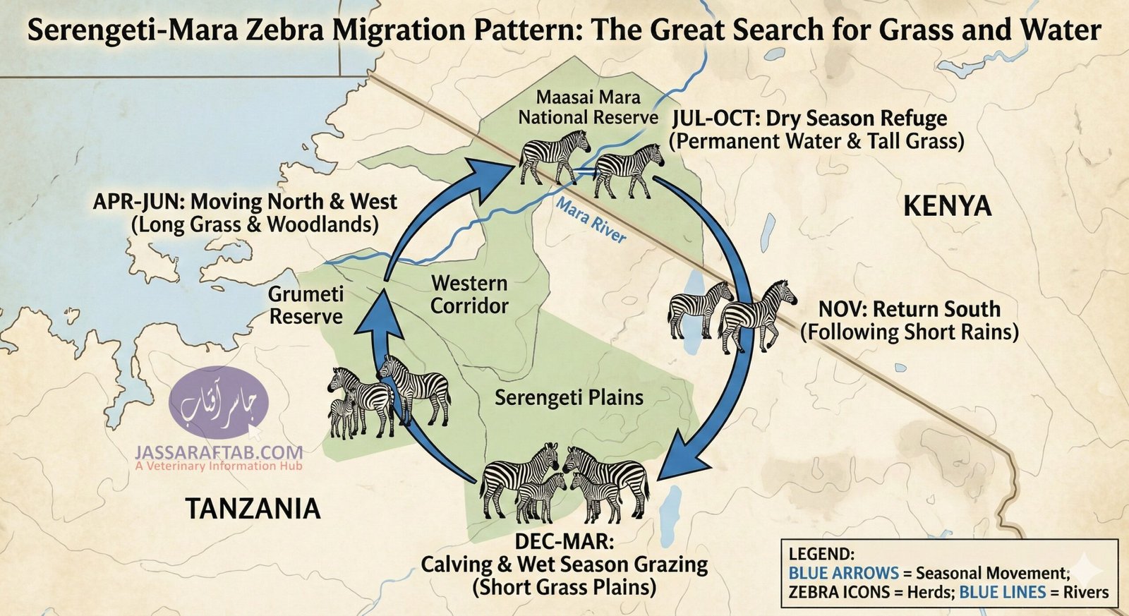 International Zebra Day Zebras Migration Pattern International Zebra Day Zebras Migration Pattern